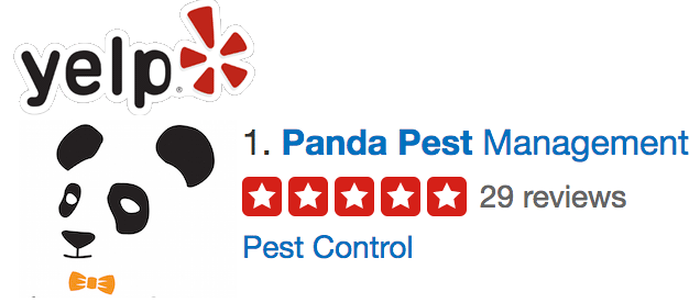 panda-yelp-banner - Panda Pest Management